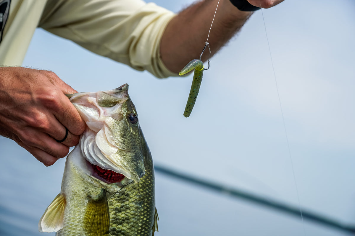 How to Rig & Fish the Wacky Rig – Harmony Fishing Company